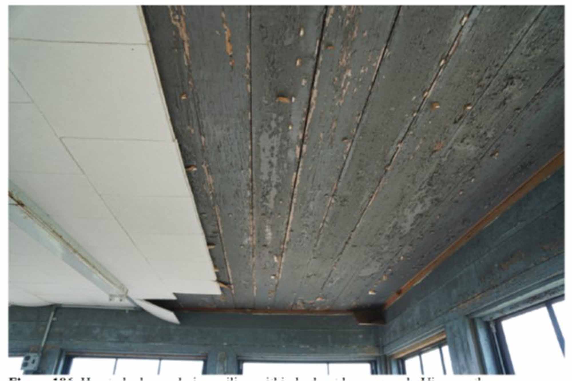 Flagg Mountain Restoration