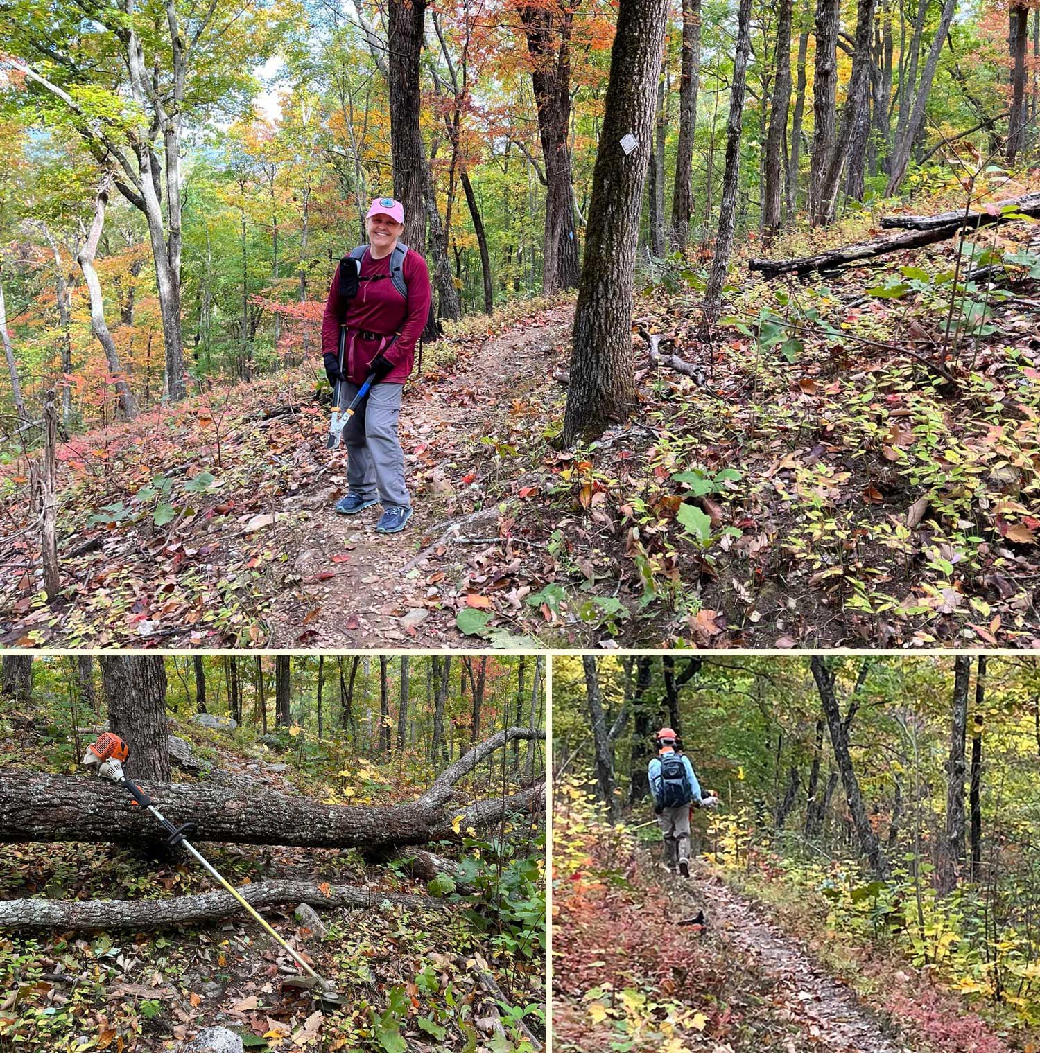 Alabama Forestry Commission, Department of Conservation, and USDA ...